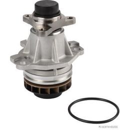 Herth+Buss JAKOPARTS Wasserpumpe j1511117 f&uuml;r Vaughall INFINITI NISSAN RENAULT