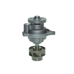 SALERI SIL Wasserpumpe pa1253 f&uuml;r Ford ASIA & OCEANIA
