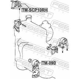 FEBEST Lagerung, Motor tmscp10rh vorne rechts f&uuml;r TOYOTA