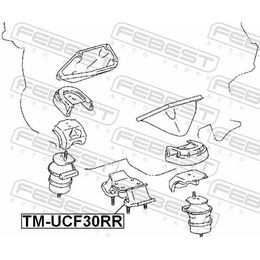 FEBEST Lagerung, Motor tmucf30rr mitte f&uuml;r TOYOTA
