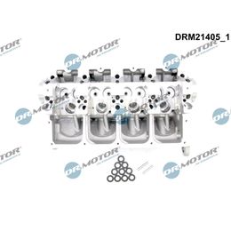 DR.MOTOR AUTOMOTIVE Zylinderkopf drm21405 f&uuml;r FORD VW SEAT