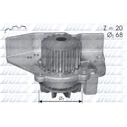 DOLZ Wasserpumpe c118 f&uuml;r Peugeot Citro&euml;n