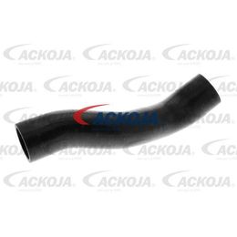 ACKOJA Ladeluftschlauch a389605 unten f&uuml;r NISSAN