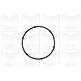 Graf Wasserpumpe pa986 f&uuml;r BAIC SMART Peugeot MITSUBISHI