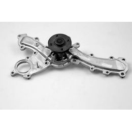 Hepu Wasserpumpe p7798 f&uuml;r LEXUS