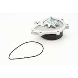CONTINENTAL CTAM Wasserpumpe wps3042 f&uuml;r TOYOTA LEXUS