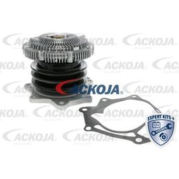 ACKOJA Wasserpumpe a3850007 f&uuml;r NISSAN