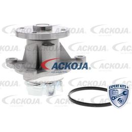 ACKOJA Wasserpumpe a5350010 f&uuml;r KIA
