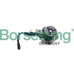 BORSEHUNG Wasserpumpe b11224 f&uuml;r VAG