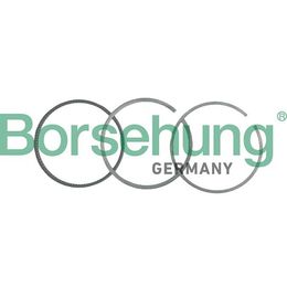BORSEHUNG Kolbenringsatz b19048 f&uuml;r VAG