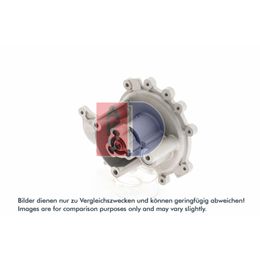 AKS DASIS Wasserpumpe 570192n f&uuml;r Ford Citro&euml;n/Peugeot ALFAROME/Fiat/LANCI