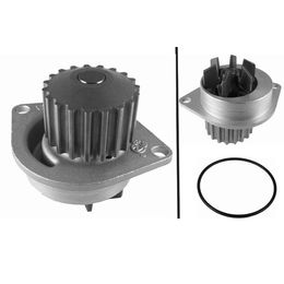INA Wasserpumpe 538005210 f&uuml;r DONGFENG (DFAC) Citro&euml;n Peugeot (DF-PSA)