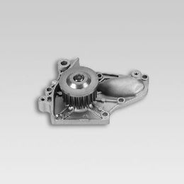 Hepu Wasserpumpe p763 f&uuml;r TOYOTA