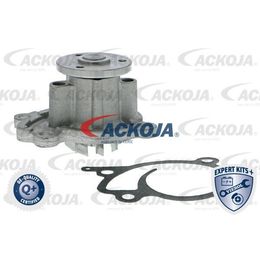 ACKOJA Wasserpumpe a3850009 f&uuml;r SMART RENAULT DACIA Mercedes NISSAN DATSUN