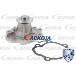 ACKOJA Wasserpumpe a6450006 f&uuml;r Vaughall Suzuki NISSAN