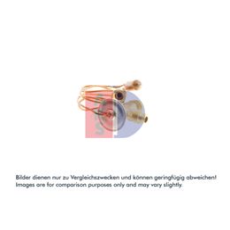 AKS DASIS Expansionsventil, Klimaanlage 840161n