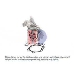 AKS DASIS Wasserpumpe 570562n f&uuml;r NISSAN RENAULT TRUCKS DACIA PROTON