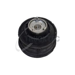 TRUCKTEC AUTOMOTIVE Lagerung, Motor 0222039 vorne f&uuml;r Mercedes
