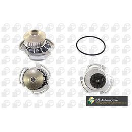 BGA Wasserpumpe cp2794 f&uuml;r VW Audi