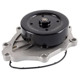 Blue Print Wasserpumpe adt39198 f&uuml;r LEXUS