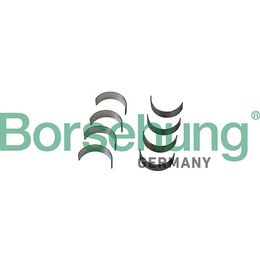 BORSEHUNG Pleuellager b11332 unten f&uuml;r Skoda VW