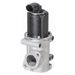 Hella AGR-Ventil 6nu010171541 f&uuml;r Vaughall Fiat Suzuki