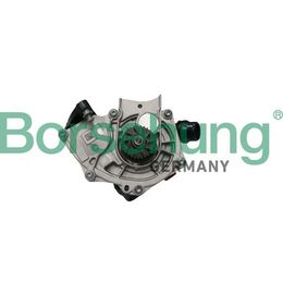 BORSEHUNG Wasserpumpe b11209 f&uuml;r VAG