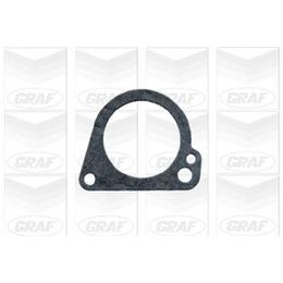 Graf Wasserpumpe pa639 f&uuml;r Ford MAZDA