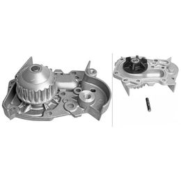 INA Wasserpumpe 538002310 f&uuml;r RENAULT