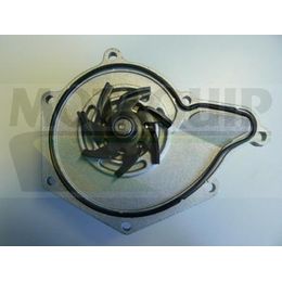 MOTAQUIP Wasserpumpe vwp852 f&uuml;r VW AUDI PORSCHE