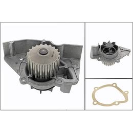 INA Wasserpumpe 538010310 f&uuml;r Peugeot Citro&euml;n Fiat