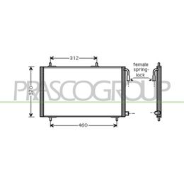 PRASCO Kondensator, Klimaanlage pg009c002 f&uuml;r Peugeot