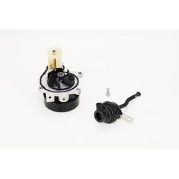 CONTINENTAL CTAM Wasserpumpe wps3221 f&uuml;r BMW MINI
