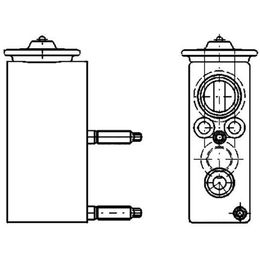 Mahle Expansionsventil, Klimaanlage ave67000p f&uuml;r DS