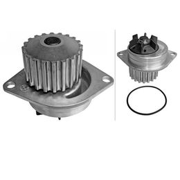 INA Wasserpumpe 538003410 f&uuml;r Peugeot NISSAN