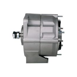 Hella 8el012584081 f&uuml;r DAF MAN Mercedes