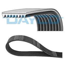 Dayco Genart_nicht_zuordenbar 8pk2590hd