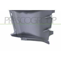 PRASCO Luftleitblech, Motor pr5082406 vorne links f&uuml;r Porsche