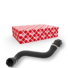 febi bilstein K&uuml;hlerschlauch 100615 rechts unten f&uuml;r BMW