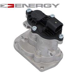 ENERGY AGR-Ventil ze0060 f&uuml;r Ford