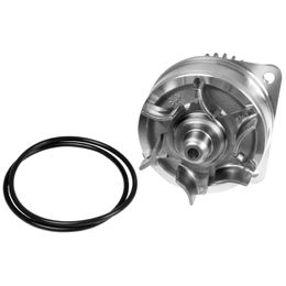 Blue Print Wasserpumpe adn19191 f&uuml;r NISSAN INFINITI RENAULT