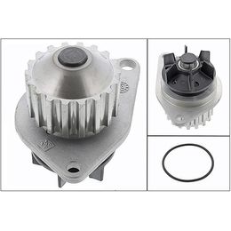 INA Wasserpumpe 538005510 f&uuml;r Peugeot Fiat