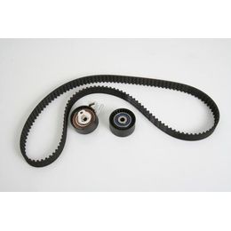 TRISCAN Zahnriemensatz 864710044 f&uuml;r Ford Volvo Peugeot Citro&euml;n Fiat ASIA & OCEANIA Suzuki