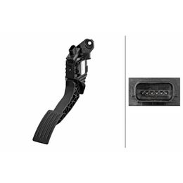 Hella Sensor, Fahrpedalstellung 6pv312630001 f&uuml;r Ford (CHANGAN)