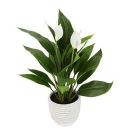 Kunstpflanze I.GE.A. "Spathiphyllum", gr&uuml;n (gr&uuml;n,wei&szlig;), B:30cm H:48cm L:28cm, Kunstpflanzen, Kunstpflanze, im Topf Anthurie Calla Flamingoblume exotische Pflanze wei&szlig;e Bl&uuml;ten