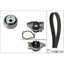 INA Wasserpumpe + Zahnriemensatz 530025831 f&uuml;r Peugeot LANCIA