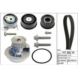 INA Wasserpumpe + Zahnriemensatz 530044331 f&uuml;r Vaughall CHEVROLET