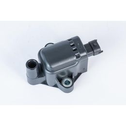 BorgWarner (BERU) Z&uuml;ndspule zs593 f&uuml;r KTM