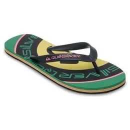 Zehentrenner Quiksilver "MOLOKAI SCREEN", Herren, Gr. 47, leprechaun, Synthetik, Schuhe Zehentrenner, Sommerschuhe
