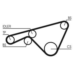 CONTINENTAL CTAM Zahnriemen ct925 f&uuml;r PORSCHE